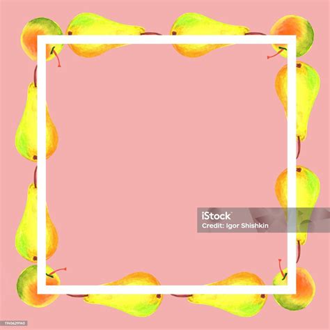 수채화의 사각형 프레임 질감 배와 분홍색 배경에 사과 메인 이미지 위의 흰색 프레임 가을에 대한 스톡 벡터 아트 및 기타 이미지 가을 감귤 개념 Istock