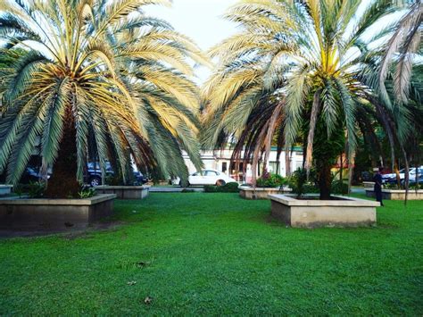 Muri Okunola Park Lagos