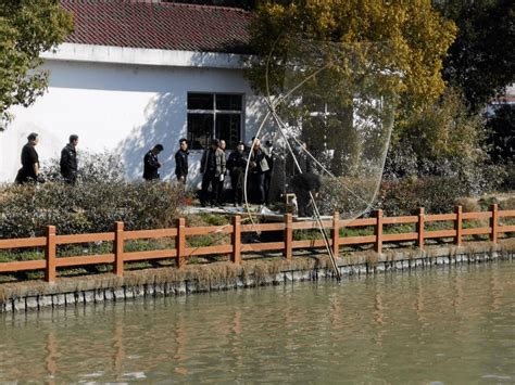 松江九亭：子非鱼，焉知鱼之不乐~还好有实招 捕捞