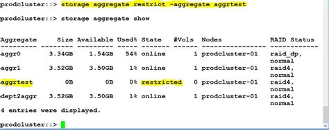 Remote Infrastructure Management Netapp Ontap 9 Raid Tec Configuration