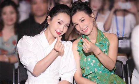 张庭陶虹等涉嫌网络传销案听证会将于11月4日召开 手机新浪网