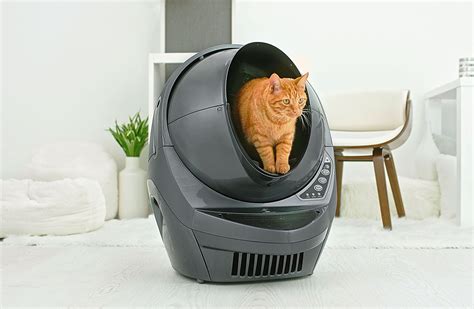 Litter Robot 3 Connect Warranty Bundle 3 Years Protected Litter Robot