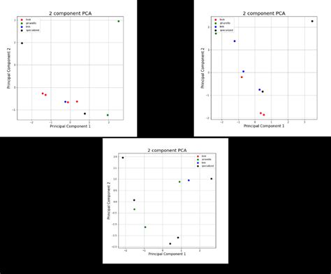 Results For The Pca Implementation Based On Two Main Components A Download Scientific