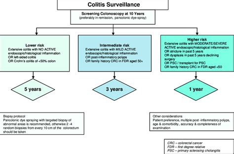 British Society Of Gastroenterology Colitis Surveillance Algorithm 12 Download Scientific Diagram