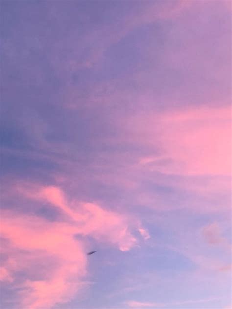 Pin Van Sandra Op Sandra Color