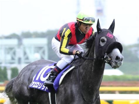 【安田記念】アエロリット＆戸崎圭太騎手、インディチャンプ＆福永祐一騎手など16頭jra重賞出走馬 競馬ニュース Netkeiba