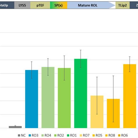 Lipase Production Depending On Targeting Sequence Used A Schematic
