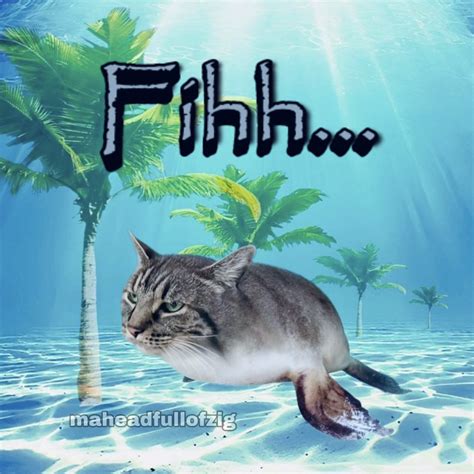 Fih Original Meme Fih Know Your Meme
