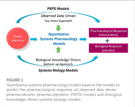Figure 1 From Quantitative Systems Modeling Approaches Towards Model