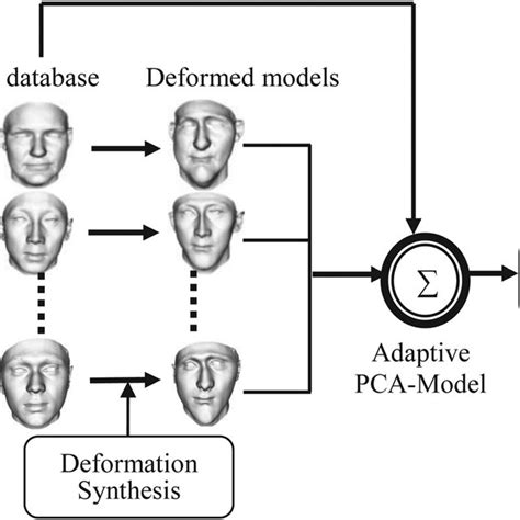 Proposed Scheme Of The Adaptive 3d Face Shape Reconstruction Model Download Scientific Diagram