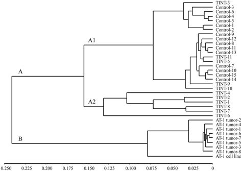 Unsupervised Hierarchical Clustering Of Samples Based On The