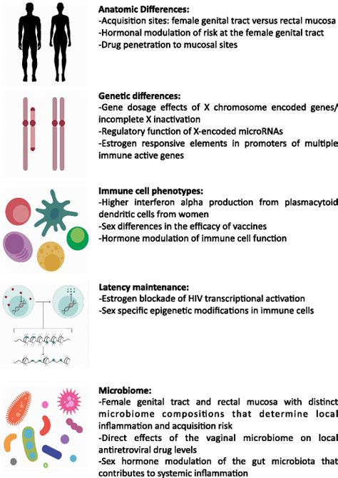 Of Five Critical Domains Of Sex Differences With Relevance For HIV Download Scientific Diagram