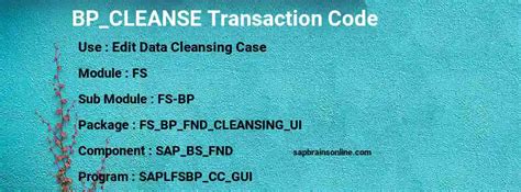 BP CLEANSE SAP Tcode For Edit Data Cleansing Case