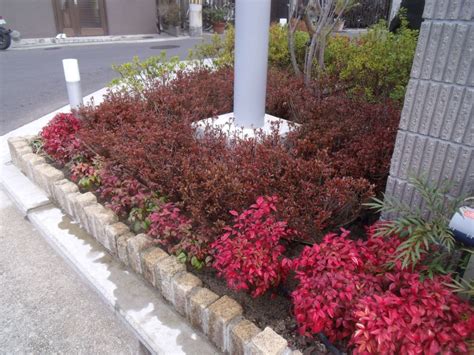 ツツジの寄せ植え さつき造園樹木医 大阪の植木屋