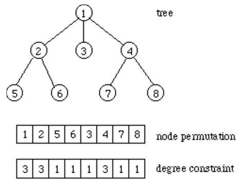 A Rooted Tree And Its Degree Based Permutation Encoding