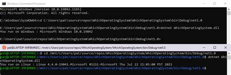 Debugging A NET App On Linux From Windows Visual Studio With WSL