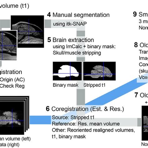 schematic description of the tailored data processing workflow for the