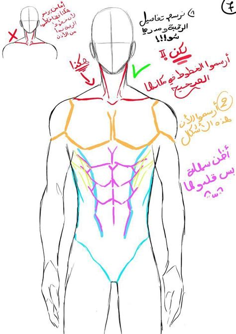 Male Body Drawing Reference Male Body Drawing Reference Poses Male