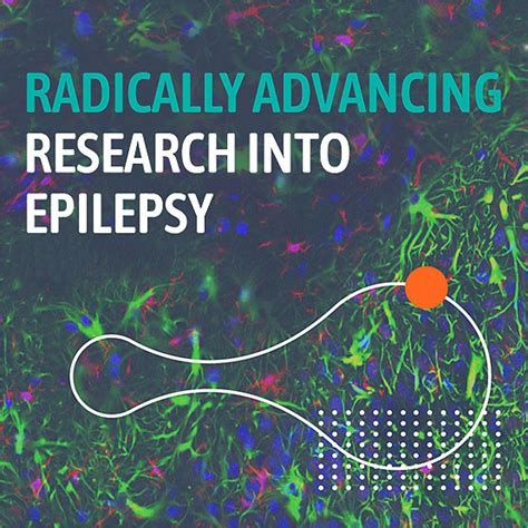 Epilepsy Research Institute Uk The Goodwill Partnership