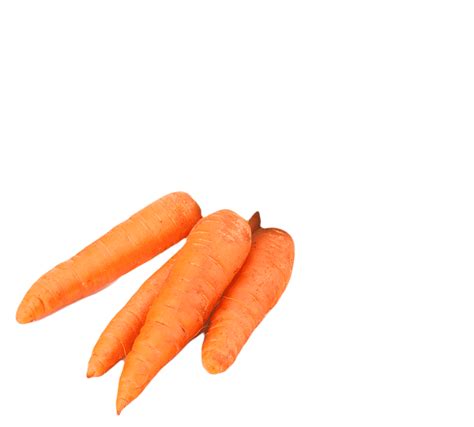 Build Responsive Online Grocery Store Website From Scratch Using Html