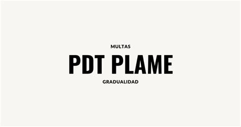 Multas En El Pdt Plame Misha