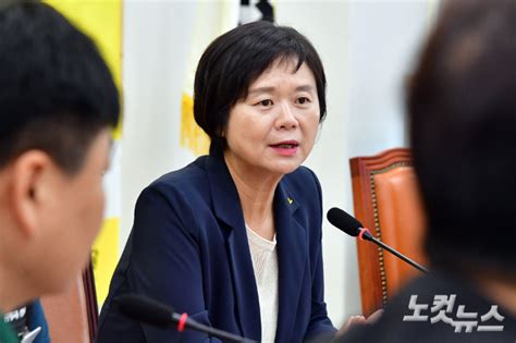정의당 선거연합정당 전국위 의결이정미 내일 사퇴 발표 노컷뉴스