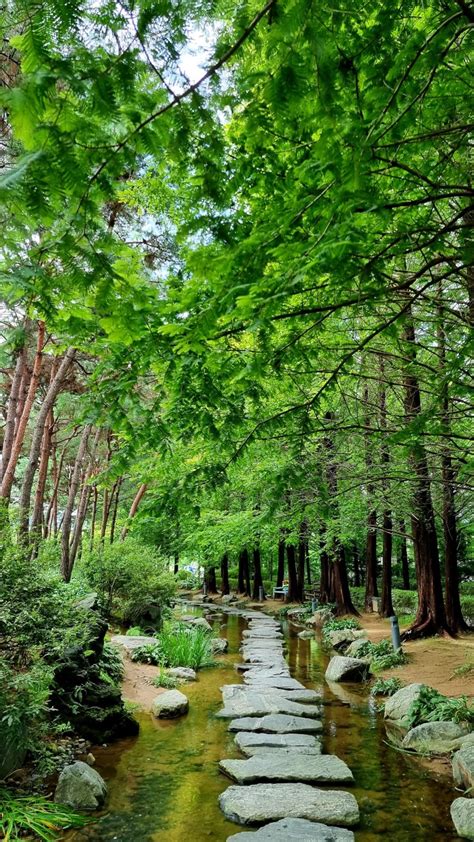 5월 힐링 여행 추천 양평 서후리숲 용문사 세미원 두물머리 이재효갤러리 네이버 블로그