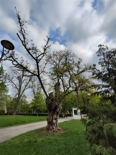 Poco F Review Phonearena