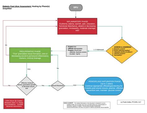Charting A Path To Wound Healing An Algorithm For Nurses Elite Learning