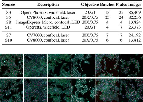 Figure 1 From Bridging Generalization Gaps In High Content Imaging Through Online Self