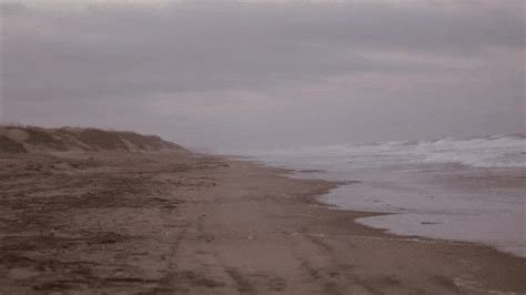 North Carolina Beach  By Marynn Taylor Find And Share On Giphy
