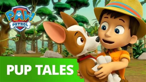 Paw Patrol Tracker Joins The Pups Rescue Episode Paw Patrol