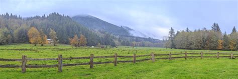 Gary Allen Patrick Obituary June 24 2025 Ronald Meadows Funeral Parlor And Cremation Center