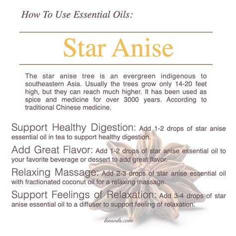 How To Use Essential Oils Star Anise Lens Oils
