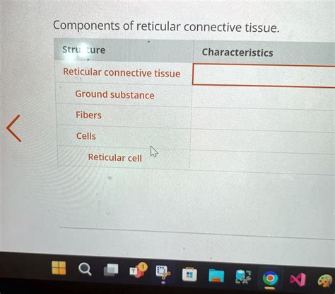 Components Of Reticular Connective Tissue Structure Reticular Connective Tissue Ground Substance