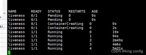 K8s健康检查探针配置 Csdn博客