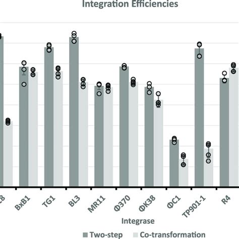 Overview Of The Site Specific Recombinase System For Dna Integration Download Scientific