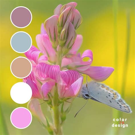 Сочетание цветов коричневый серый синий бирюзовый цвета