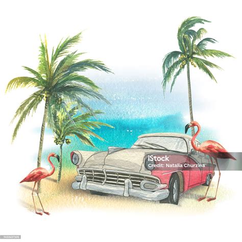 바다의 해안 코코넛 야자수가있는 바다 분홍색 플라밍고 및 복고풍 자동차가있는 배경 대형 Cuba 세트의 수채화 그림 해변의 장식과 디자인 관광 하바나에 대한 스톡 벡터 아트