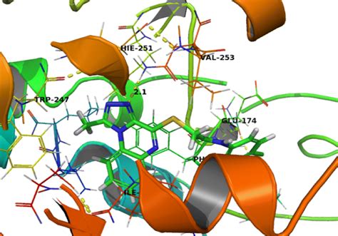 Predicted Binding Mode For Compound 15e With The Homology Model Of The