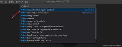 Jupyter Notebookvscode环境搭建及原理讲解vs Code中的jupyter插件怎么配环境 Csdn博客