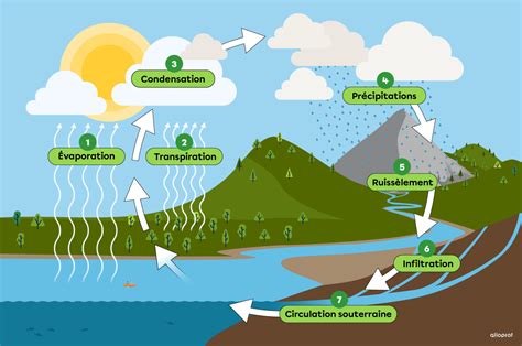 Le Cycle De Leau Le Comprendre Pour En Prendre Soin