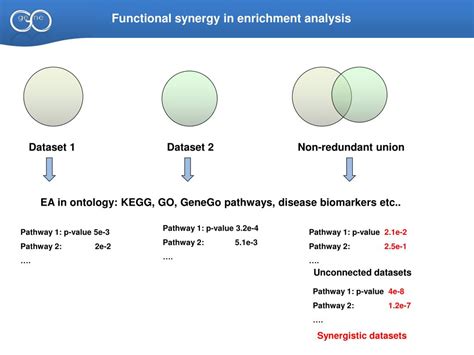 Ppt Metacore Data Analysis Suite And Functional Analysis Powerpoint