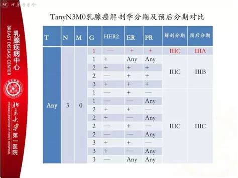 历时7年AJCC乳腺癌分期系统再更新第8版