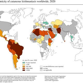 Transmission Of Leishmania Parasites Via The Sandfly Vector Or The