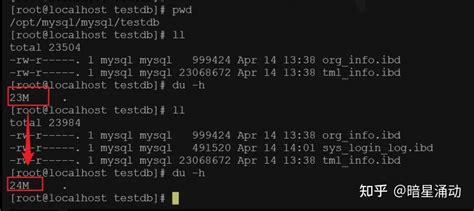 Mysql 知识：迁移数据目录到其他路径 知乎