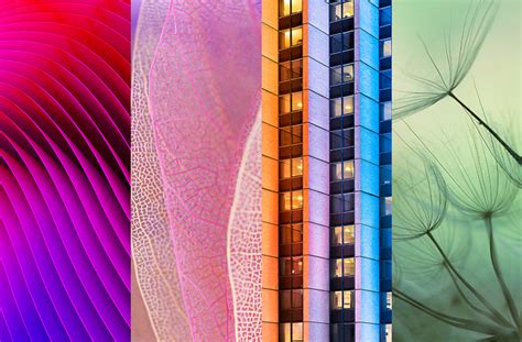 Helliwell V Entwistle Live