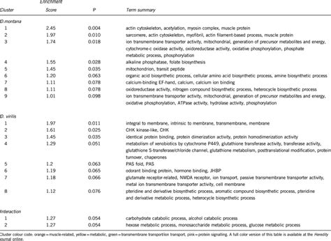 Functional Clusters Identified By David For Each Of The Gene Groups For