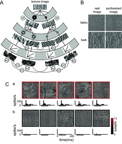 a schematic illustration of the texture synthesis algorithm proposed