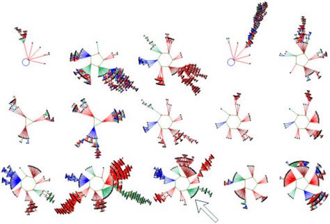 A Small Random Boolean Network N13 With Homogeneous K3 Wiring